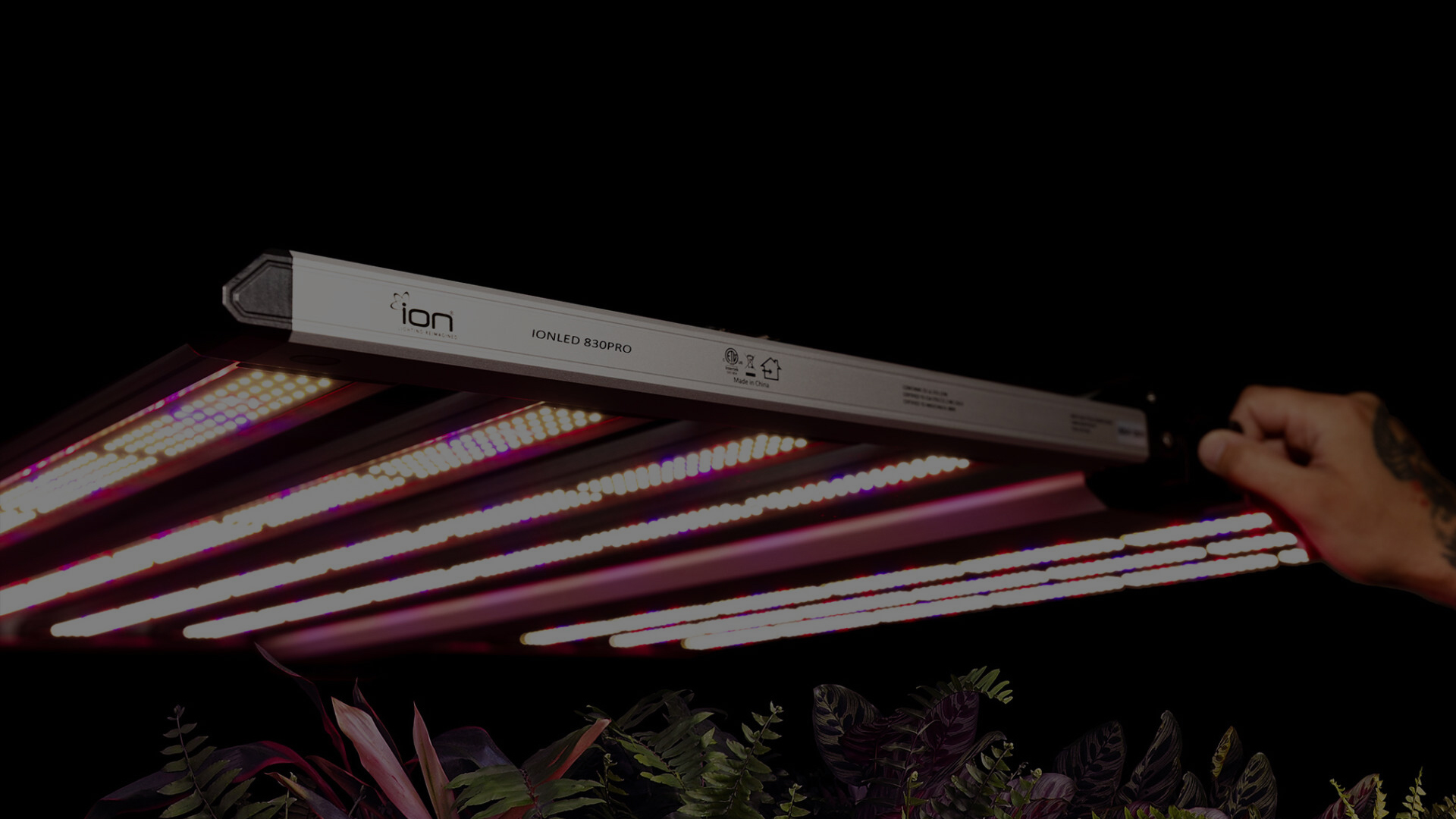 Home - Horticultural Lighting
